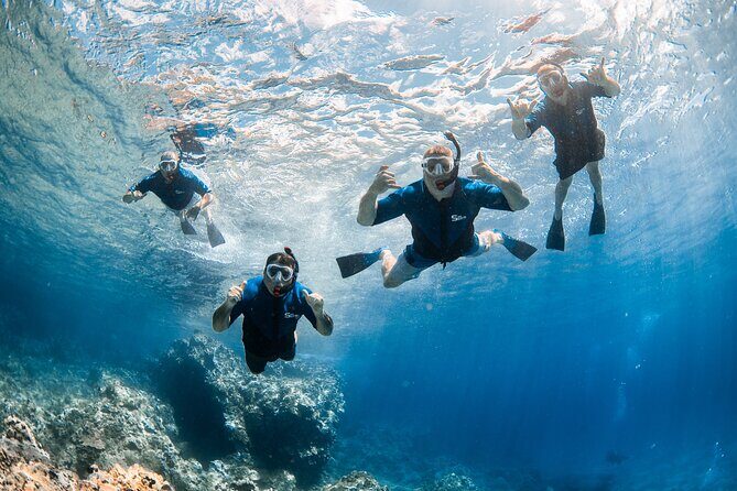 Snorkel with Turtles and Free Underwater Photos Lahaina - Is this Tour Right for You?