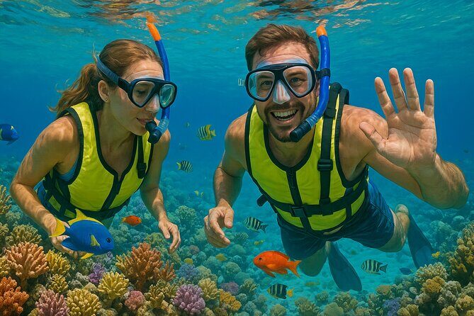 Snorkeling adventure at Puerto Morelos Reef National Park - The Reef: A Kaleidoscope of Marine Life