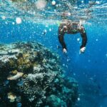 Snorkeling Adventure in La Jolla - Authentic Encounters and Practical Tips