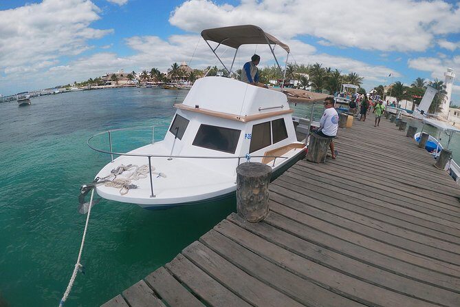 Snorkeling Adventure in Puerto Morelos Includes snack, Water and Round Trip. - The Dive Into the Details