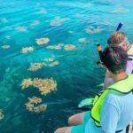 Snorkeling Adventure in Tulum Beach, Kaan Luum Lagoon and Cenote - The Experience: Pros and Cons