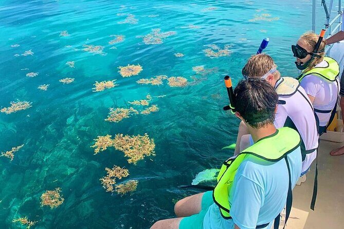 Snorkeling Adventure in Tulum Beach, Kaan Luum Lagoon and Cenote - The Experience: Pros and Cons