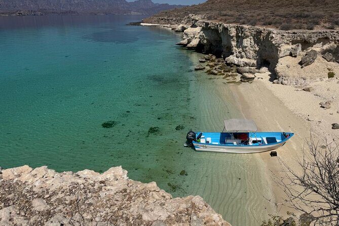 Snorkeling Adventure with Picnic from Villa del Palmar Hotel - What Travelers Say