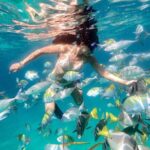 Snorkeling at Pelicans Rock - The Land-Based Highlights: Food, Views, and More