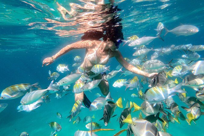 Snorkeling at Pelicans Rock - The Land-Based Highlights: Food, Views, and More