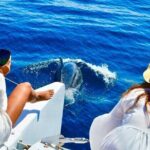 Snorkeling Catamaran Tour at Santa Maria Bay - What the Reviews Say