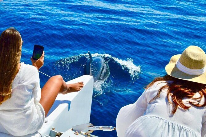 Snorkeling Catamaran Tour at Santa Maria Bay - What the Reviews Say