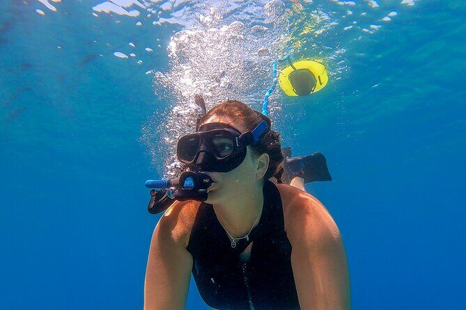 Snorkeling Experience on a NEMO Diving System - What Makes This Tour Stand Out?