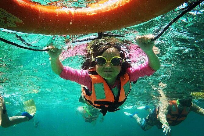Snorkeling Guided Activity in Puerto Morelos Mexico - What You Can Expect