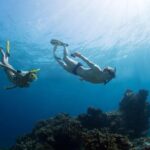 Snorkeling Tour at Land's End in Cabo San Lucas - The Realities of the Experience