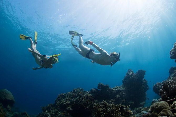 Snorkeling Tour at Land's End in Cabo San Lucas - The Realities of the Experience