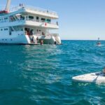 Snorkeling tour in Cabo San Lucas - Practical Details: What You Need to Know