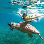 Snorkeling Tour with Turtles and Stingrays Puerto Morelos - The Itinerary: What You Can Expect and Why It Matters