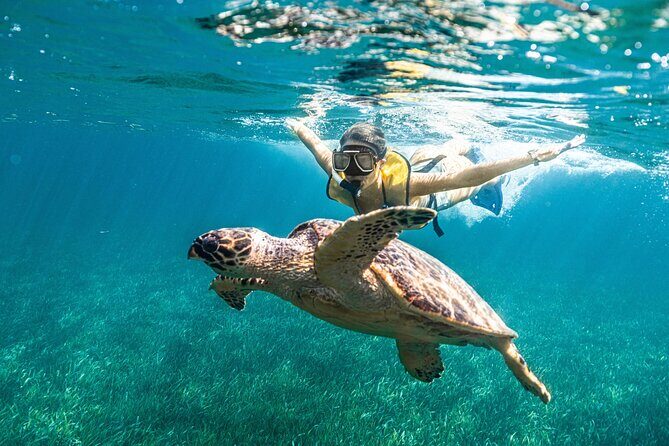 Snorkeling Tour with Turtles and Stingrays Puerto Morelos - The Itinerary: What You Can Expect and Why It Matters