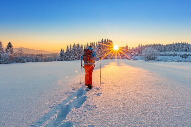 Snowshoeing at The Top of The Sea to Sky Gondola - Authentic Insights from Reviews