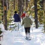 Snowshoeing In Vancouver's Winter Wonderland - Authentic Traveler Insights: What People Are Saying
