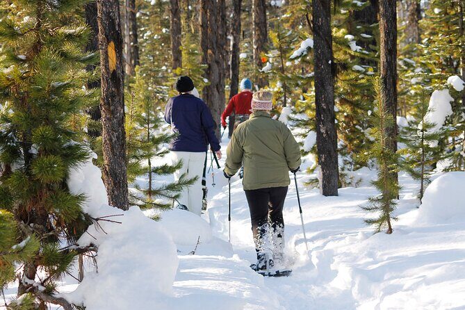 Snowshoeing In Vancouver's Winter Wonderland - Authentic Traveler Insights: What People Are Saying