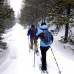 Snowshoeing Tour in Jacques-Cartier National Park - What to Expect in Terms of Difficulty and Equipment