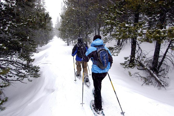 Snowshoeing Tour in Jacques-Cartier National Park - What to Expect in Terms of Difficulty and Equipment