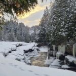 Snowshoeing with mountain goats Private activity - Wildlife and Animal Companions
