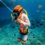 Snuba Cabo San Lucas Dive Without a Tank - What’s Included and What to Bring
