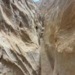 Solana Beach: Guided Hiking/Bike Tour to Annies Canyon - The Experience and Its Value