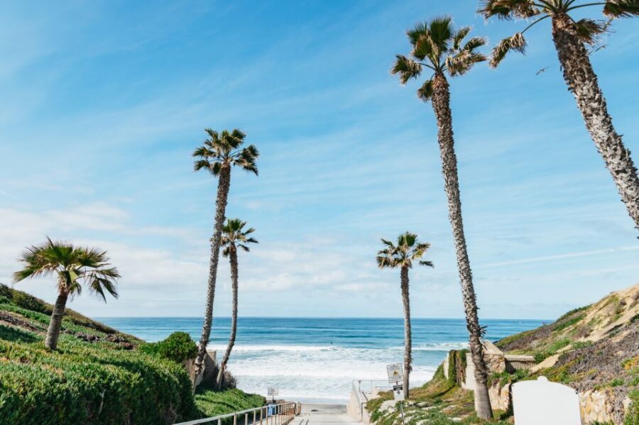 Solana Beach: Private Surf Lesson with Board and Wetsuit - The Value of the Experience