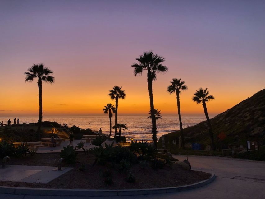 Solana Beach: Stand-up Paddle Board Rental - What To Expect When Renting Your Paddleboard