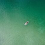 Sommers Bay Clear Kayak Tour// Flathead Lake - Who Will Love This Tour?