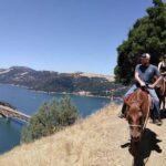 Sonoma: Horseback Riding Tour to Skaggs Vista Mountain - Authenticity and Value