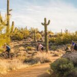Sonoran Desert Guided Mountain Bike Tour - Final Thoughts