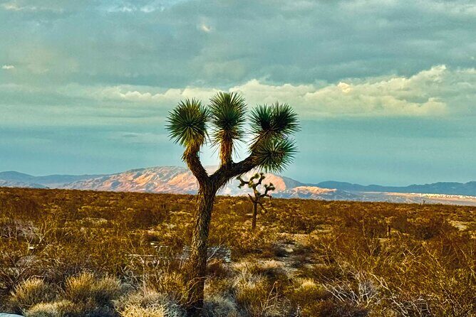 Soul Reconnection Retreat in Joshua Tree - Who Will Love This Retreat?
