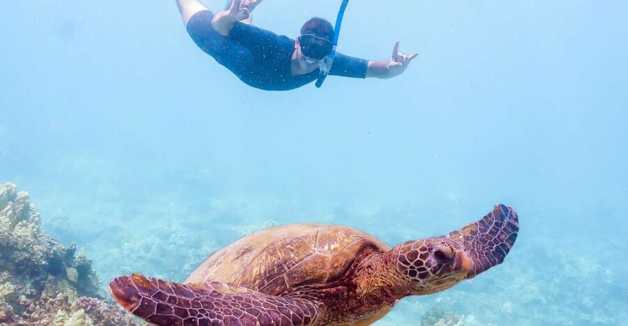 South Maui: Molokini Snorkeling Adventure - What Truly Sets This Tour Apart