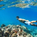 South Maui: Premium Turtle Town Kayak and Snorkel Tour - Why This Tour Offers Great Value