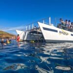 South Maui: Snorkel to Coral Gardens or Molokini Crater - Pricing and Value