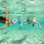 Speed Through Cancun: Explore Mangroves, Reefs & MUSA in One Tour - Who Will Love This Tour?