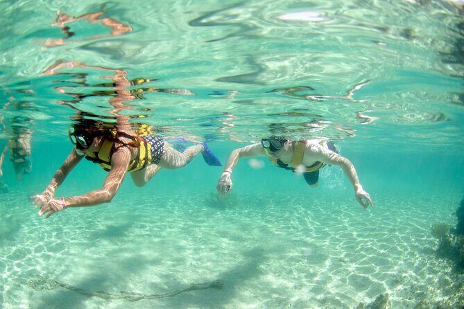 Speed Through Cancun: Explore Mangroves, Reefs & MUSA in One Tour - Who Will Love This Tour?