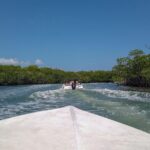 Speedboat and snorkel tour: Single Passenger Boat - The Experience: Why People Keep Coming Back