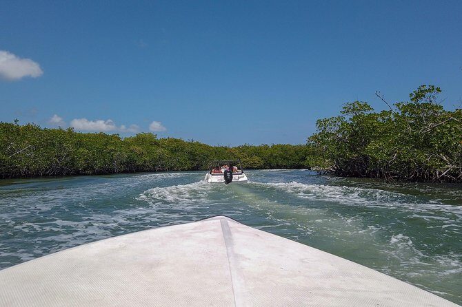 Speedboat and snorkel tour: Single Passenger Boat - The Experience: Why People Keep Coming Back