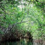 Speedboat and Snorkeling Adventure in Cancun - Final Thoughts: Is It Worth It?