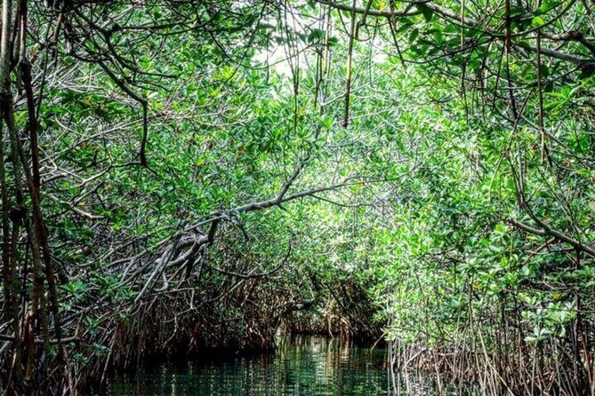 Speedboat and Snorkeling Adventure in Cancun - Final Thoughts: Is It Worth It?