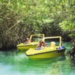 Speedboat jungle tour and snorkel - Reviewing the Feedback