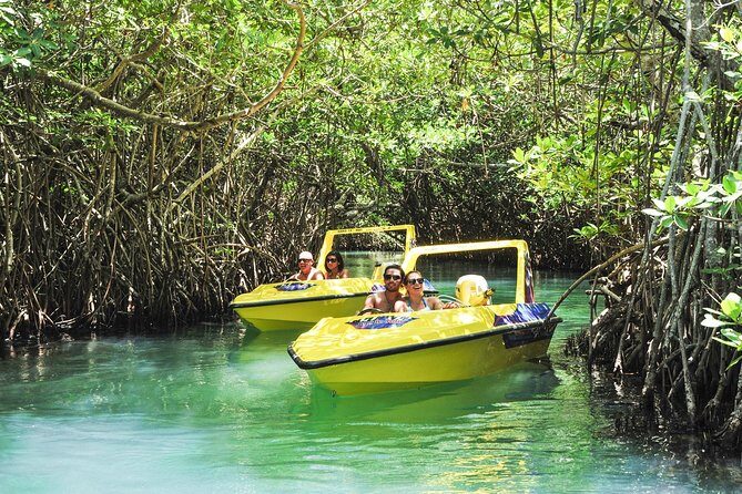 Speedboat jungle tour and snorkel - Reviewing the Feedback