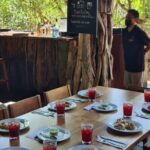 Speedboat Tour, Snorkel & Drinks - The Practical Side: What’s Included and What’s Not