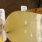 Spirits of Mystic: Cocktail Pub Crawl - Who Will Love This Tour?