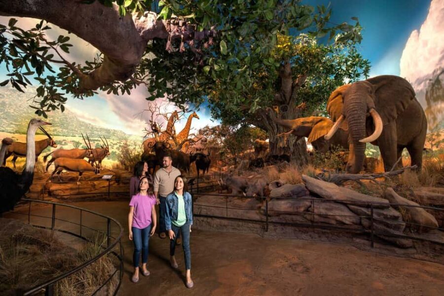 Springfield: Wonders of Wildlife National Museum & Aquarium - Authentic Traveler Perspectives