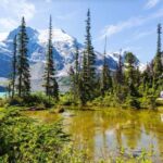 Squamish-Lillooet: Joffre Lakes Guided Hike - Why You Should Consider This Tour