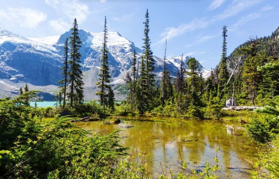 Squamish-Lillooet: Joffre Lakes Guided Hike - Why You Should Consider This Tour