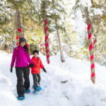 Squamish: Sea to Sky Gondola Admission Ticket - A Closer Look at the Gondola Experience