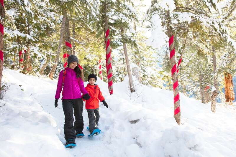Squamish: Sea to Sky Gondola Admission Ticket - A Closer Look at the Gondola Experience